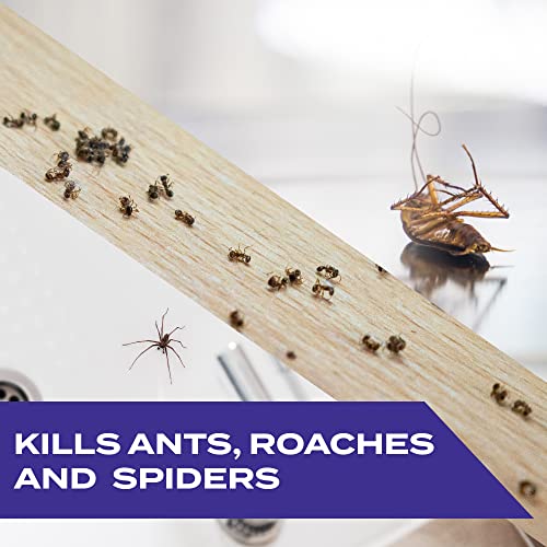 STEM Kills Ants, Roaches and Spiders: Plant-Based Active Ingredient Bug Spray, Botanical Insecticide for Indoor and Outdoor use; 10 oz