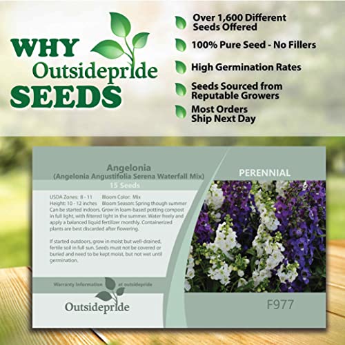 Outsidepride Angelonia Serena Waterfall Summer Snapdragon Garden Flower Seed Mix - 30 Seeds