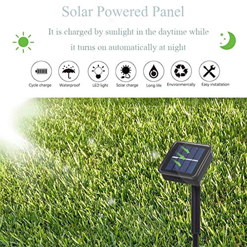 PXBNIUYA 220 LED Solar Firefly Bunch Lights, Fairy Copper Wire Waterproof Decorative Light, 8 Flashing Modes, Solar Vine Waterfall Watering Can Light, Outdoor Patio Garden Light (No Watering Can)