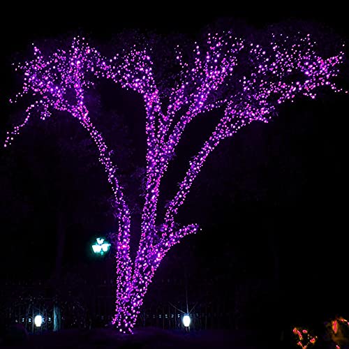 Dazzle Bright 2 Pack 200 LED 66 FT Halloween Solar String Outdoor Lights, Solar Powered with 8 Modes Waterproof Christmas Lights for Bedroom Patio Garden Tree Party Yard Decoration (Purple)