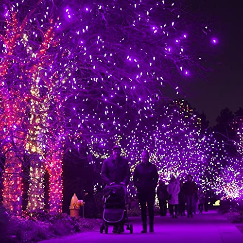 Dazzle Bright 2 Pack 200 LED 66 FT Halloween Solar String Outdoor Lights, Solar Powered with 8 Modes Waterproof Christmas Lights for Bedroom Patio Garden Tree Party Yard Decoration (Purple)