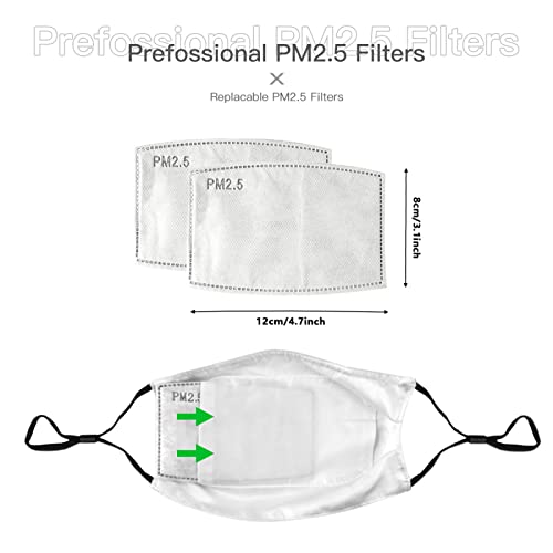 SARNFANS Motorcycle Face Mask Balaclava Windproof Men'S Women'S,Classic Motorcycles,Dustproof Mouth Cover With Filter Pocket Adjustable Elastic Strap,White Black