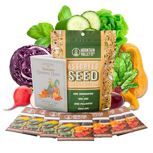 Summer Garden Heirloom Vegetable Seeds - ~5,000+ Total Seeds, 7 Varieties of Seeds to Sow in Summer Months - Beet, Lettuce, Radish, Basil, Cabbage, Cucumber, & Squash Heirloom Seeds for Planting
