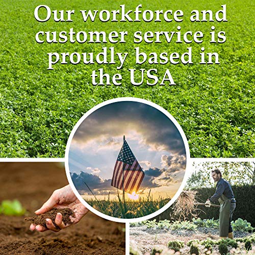Summer Garden Heirloom Vegetable Seeds - ~5,000+ Total Seeds, 7 Varieties of Seeds to Sow in Summer Months - Beet, Lettuce, Radish, Basil, Cabbage, Cucumber, & Squash Heirloom Seeds for Planting