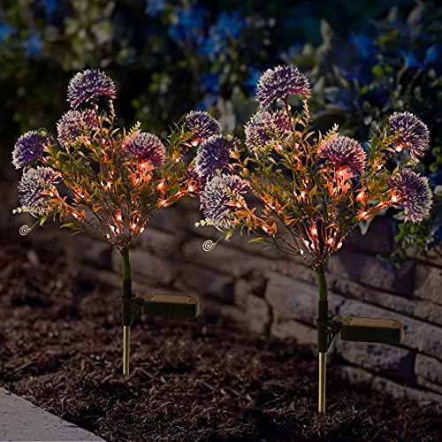 Doingart 2Pcs Outdoor Solar Garden Stake Lights, Multi-Color Solar Powered LED Garden Lights,19Inch Decorative Dandelion Flower Lights for Garden, Patio, Yard, Pathway （Purple ）