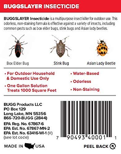 BUGGSLAYER Insecticide Concentrate 16-oz