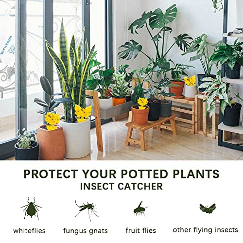 Fruit Fly Traps Fungus Gnat Traps Yellow Sticky Indoor Outdoor Use Protect The Plant