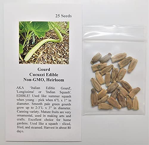 David's Garden Seeds Gourd Cucuzzi Edible 8874 (Green) 25 Non-GMO, Heirloom Seeds