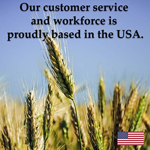 Grain, Wheat - Hard White - 1 Lb ~8,000 Seeds - Triticum aestivum - Non-GMO, Open Pollinated - Farm & Garden Grain - Emergency Storage, Cover Crop