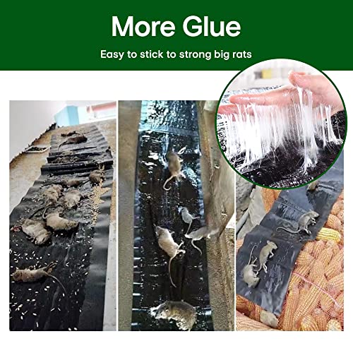 ELEGENZO Sticky Mouse Trap Mouse Traps Indoor for Home Rat Traps That Work for Trapping Snakes Rats Spiders Roaches & Other Rodents,3 transparent