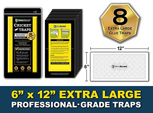 MaxGuard Extra Large Cricket Traps (8 Traps) | Non-Toxic Extra Sticky Glue Board Pre-Baited Cricket Attractant | Trap & Kill House Crickets, Insects, Spiders, Bugs |