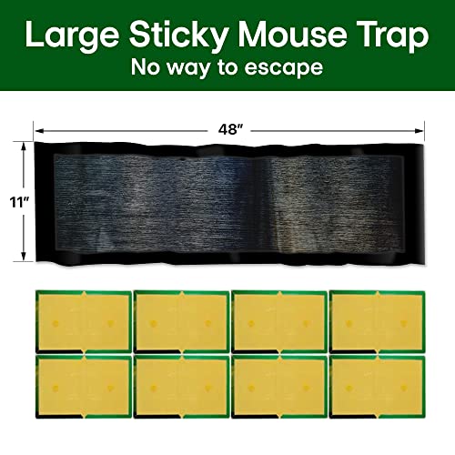 ELEGENZO Sticky Mouse Trap Mouse Traps Indoor for Home Rat Traps That Work for Trapping Snakes Rats Spiders Roaches & Other Rodents,3 transparent