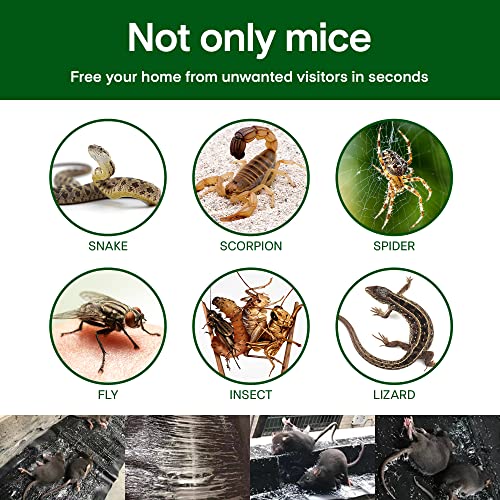 ELEGENZO Sticky Mouse Trap Mouse Traps Indoor for Home Rat Traps That Work for Trapping Snakes Rats Spiders Roaches & Other Rodents,3 transparent
