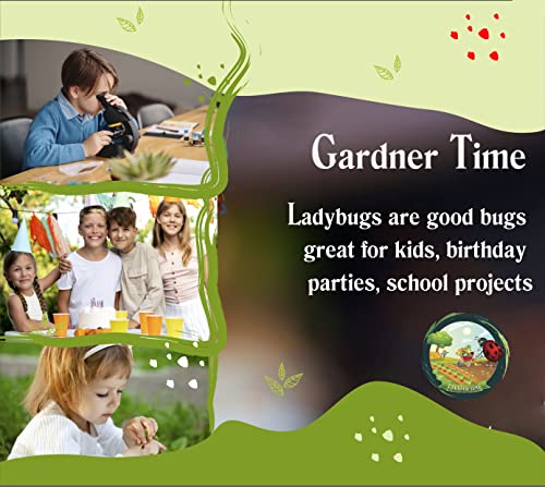 Gardner Time 150 Live Ladybugs - Good Bugs for Garden - Ladybugs - Guaranteed Live Delivery