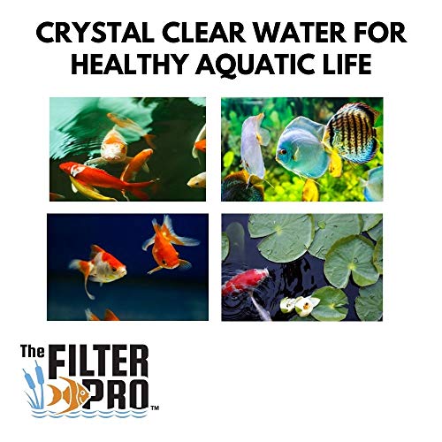 The Filter Pro Beige Coarse Filter Media, 2" Thick, 16" x 56" Roll, Perfect for Aquariums, Ponds or Water Gardens, Made in USA