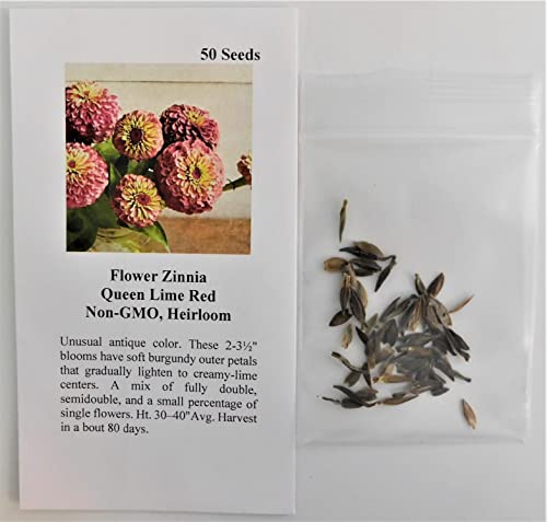 David's Garden Seeds Flower Zinnia Queeny Lime Red 5411 (Red) 50 Non-GMO, Heirloom Seeds