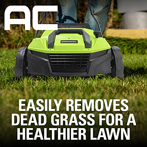 Greenworks 13 Amp 14-Inch Corded Dethatcher / Scarifier, DT13B00