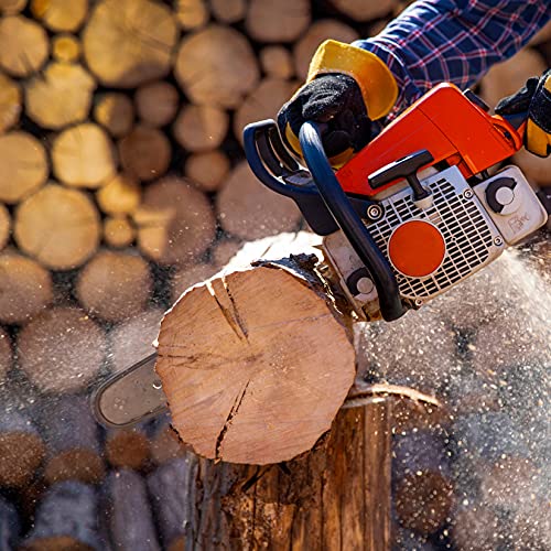 WORKPRO 2-Pack 18 Inch Chainsaw Chain, 3/8"Pitch, 62 Drive Links Wood Cutting Saw Chain for Chainsaw Parts fits Craftsman, Husqvarna, Poulan, Echo, DeWalt