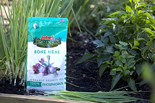 Jobe’s Organics 09326, Plant Food, Bone Meal, 4lbs