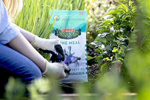 Jobe’s Organics 09326, Plant Food, Bone Meal, 4lbs