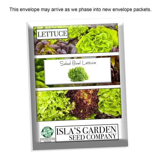 Salad Bowl Lettuce Seeds for Planting, 1000+ Heirloom Seeds Per Packet, (Isla's Garden Seeds), Non GMO Seeds, Botanical Name: Lactuca Sativa, Great Home Garden Gift