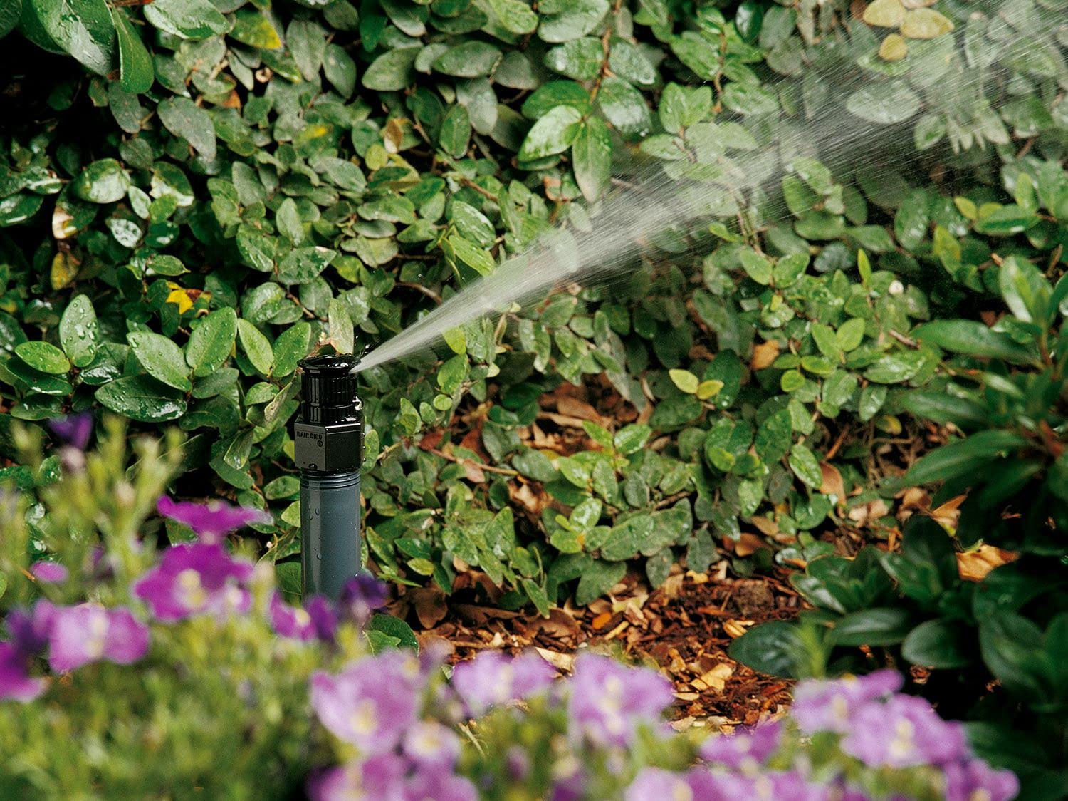 Rain Bird A17AP Shrub Nozzle, 0° -360, 8' -15' Spray Distance, Adjustable Pattern, Black