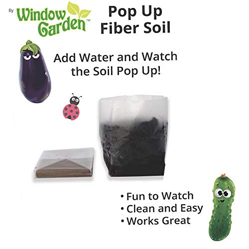 Window Garden Sow Much Fun Seed Starting, Vegetable Planting and Growing Kit for Kids, 3 Self Watering Planters, Soil, Seeds and Puffy Stickers. No Mess, Easy, Works Great! (Cucumber) & (Pumpkin)