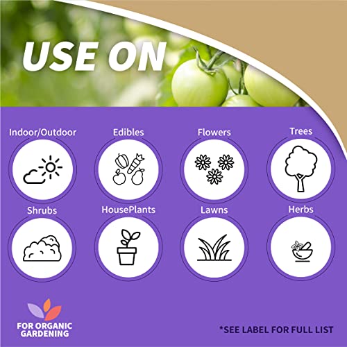Bonide Captain Jack's Neem Max, 16 oz Concentrated Cold Pressed Neem Oil, Multi-Purpose Insecticide, Fungicide, Miticide, and Nematicide for Organic Gardening