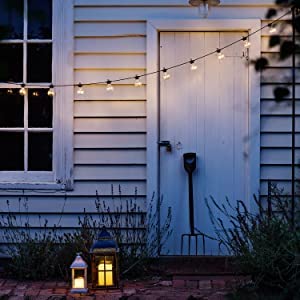 Lights4fun, Inc. Set of 12 Solar Powered Mini Mushroom Toadstool LED Outdoor Waterproof Garden Pathway Landscape Lights