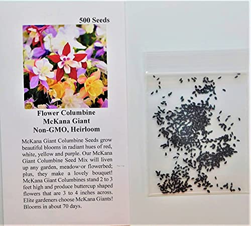 David's Garden Seeds Flower Columbine McKana Giant 9977 (Multi) 200 Non-GMO, Heirloom Seeds
