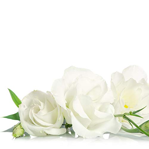 Outsidepride Lisianthus Sapphire White AKA Texas Bluebell or Prairie Gentian Garden Flowers - 50 Seeds