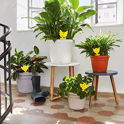 NiHome 48-Pack Yellow Sticky Traps with Twist Ties Indoor & Outdoor Plant Bug Fly Glue Catcher Nontoxic Odorless for Home Garden (Flower)