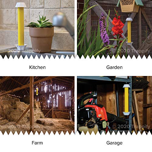 Trappify Sticky Gnat and Fly Traps for Home Pest Control - Fly, Gnats, Moths and Other Flying Insects Traps with Extra Sticky Adhesive - Disposable Fly, Gnat and Moths Catcher - 18 Traps