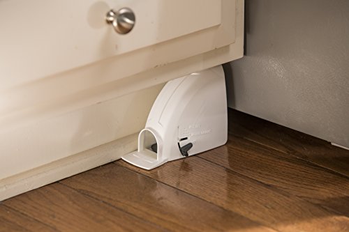 Tomcat Kill & Contain Mouse Trap