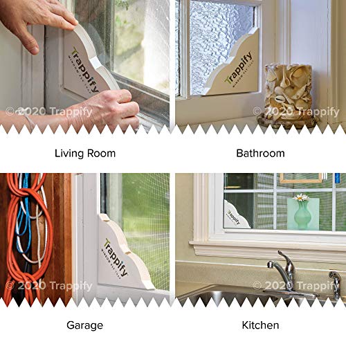Trappify Sticky Gnat and Fly Traps, Fly Stick Strap & Window Fly Trap for Outdoor and Indoor Home Pest Control - Fly, Gnats, Moths and Other Flying Insects Trap with Extra Sticky Adhesive - 18 Traps