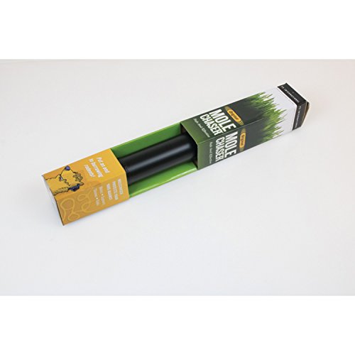 P3 International P7901 Mole Chaser,Multicolor