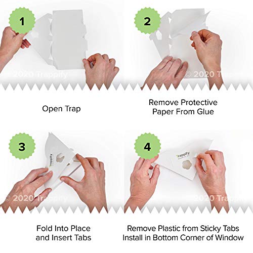 Trappify Sticky Gnat Traps, Window Fly Traps & Moth Traps for Outdoor & Indoor Home Pest Control - Fly, Gnats, Moths and Other Flying Insects Disposable Trap with Extra Sticky Adhesive - 20 Traps