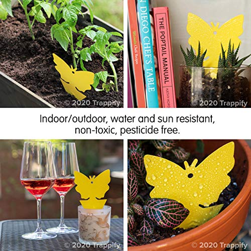 Trappify Sticky Gnat Traps, Window Fly Traps & Moth Traps for Outdoor & Indoor Home Pest Control - Fly, Gnats, Moths and Other Flying Insects Disposable Trap with Extra Sticky Adhesive - 20 Traps