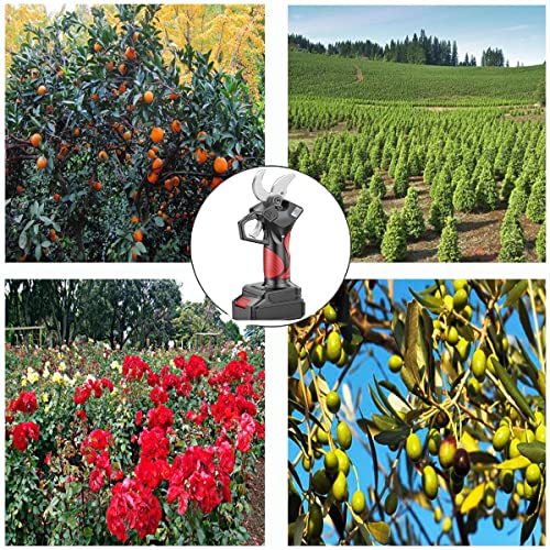 TURKAS Electric Pruning Shears 50mm/2" Cutting Diameter, Battery Powered Branch Cutter, Professional Cordless Pruner with LED Display Screen, 1 Pcs 889800H Lithium Battery, Secateurs for Garden