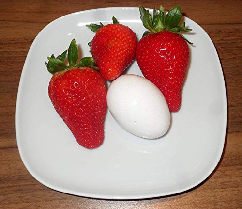 200pcs Giant Strawberry Seeds, Sweet Red Strawberry Garden Strawberry Fruit Seeds, for Garden Planting
