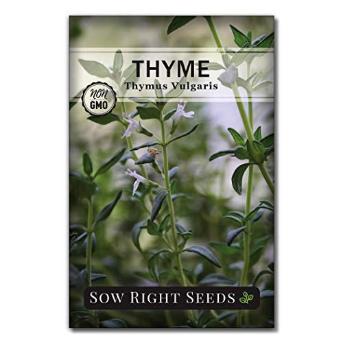 Sow Right Seeds - Herb Garden Seed Collection - Basil, Chives, Parsley, Cilantro, Oregano, Dill, Lavender, Marjoram, Sage & Thyme - Non GMO Heirloom - Instructions to Plant an Outdoor or Indoor Garden