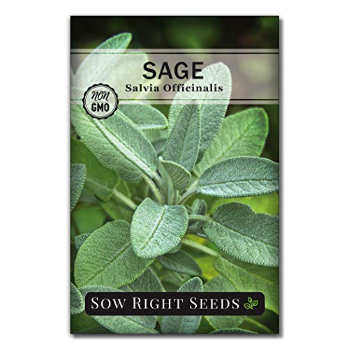 Sow Right Seeds - Herb Garden Seed Collection - Basil, Chives, Parsley, Cilantro, Oregano, Dill, Lavender, Marjoram, Sage & Thyme - Non GMO Heirloom - Instructions to Plant an Outdoor or Indoor Garden