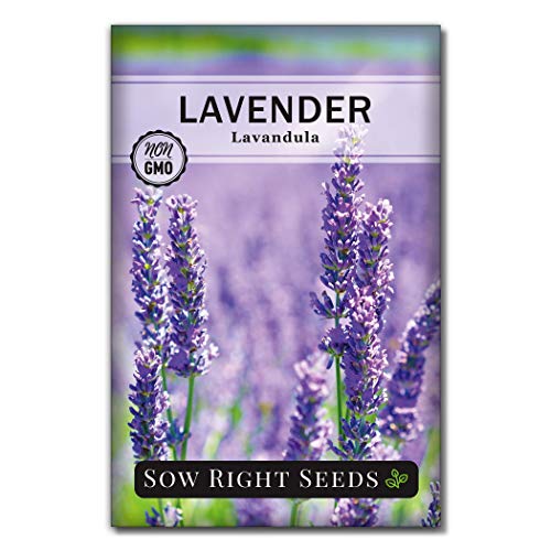 Sow Right Seeds - Herb Garden Seed Collection - Basil, Chives, Parsley, Cilantro, Oregano, Dill, Lavender, Marjoram, Sage & Thyme - Non GMO Heirloom - Instructions to Plant an Outdoor or Indoor Garden