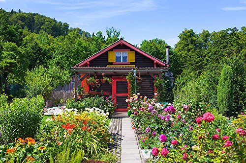 Easy Garden Roll Out Flowers Olde English Garden kit - OE1000 10-Foot by 10-Inch - by Garden Innovations