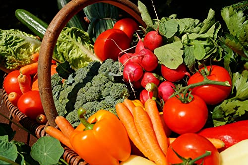 Set of 35 Premium Variety Herbs and Vegetables - Deluxe Garden Choices for Premium Gardening! (35 Liberty Garden Premium Vegetable)