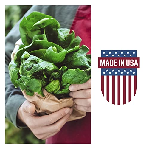 Seedra.US 4 Spinach Seeds Variety Pack - 305+ Non GMO, Heirloom Seeds for Indoor Outdoor Hydroponic Home Garden - Bloomsdale, New Zealand, Space, Virofly