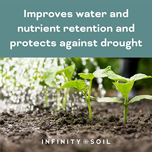 Infinity Soil Diatomaceous Earth - 2 lbs - Sustainable and Natural Soil Amendment - A Natural Source of Silica - Increases Soil Water and Nutrient Retention