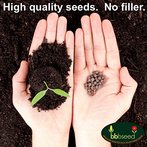 Heirloom Tomato Collection Seeds for Planting, Non-GMO Heirloom Tomatoes, Open Pollinated Garden Seed - Black Krim, Cherokee Purple, Yellow Brandywine, Red Pear, and Yellow Pear, BBB Seed