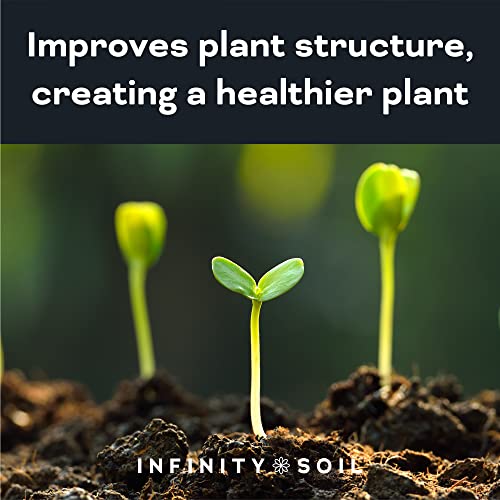 Infinity Soil Diatomaceous Earth - 2 lbs - Sustainable and Natural Soil Amendment - A Natural Source of Silica - Increases Soil Water and Nutrient Retention