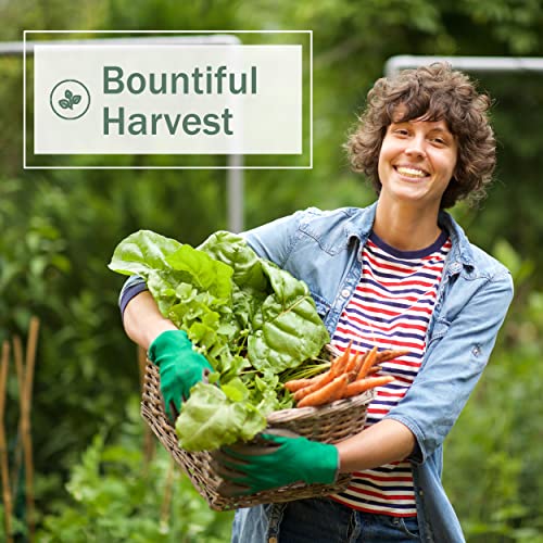 Sow Right Seeds - White Cherry Tomato Seed for Planting - Non-GMO Heirloom Packet with Instructions to Plant a Home Vegetable Garden